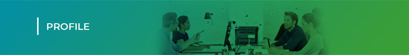 Profile – MEK Power Technology